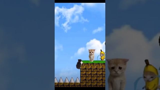 Banana cat и друзья в мире Майнкрафт