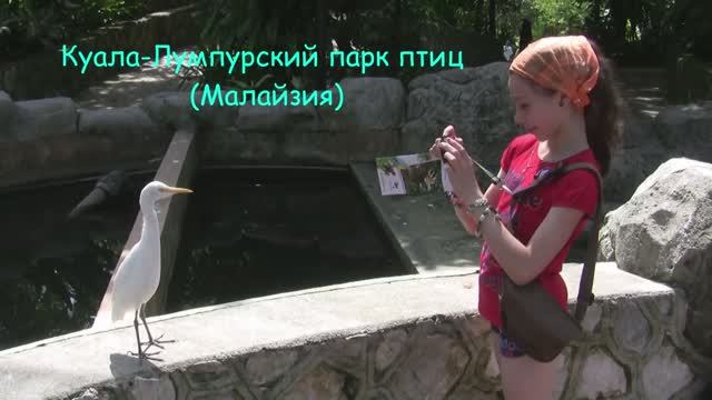 Малазия Куалумпур парк птиц.mp4