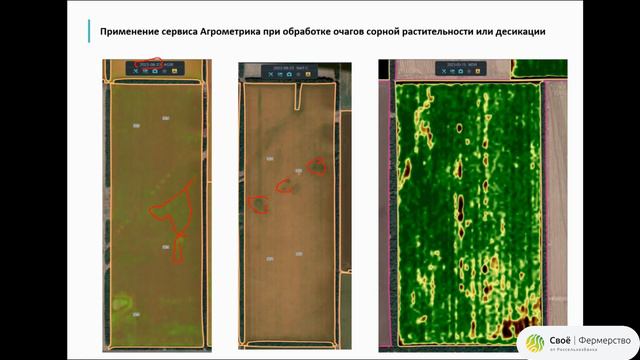 Как увеличить эффективность средств защиты растений