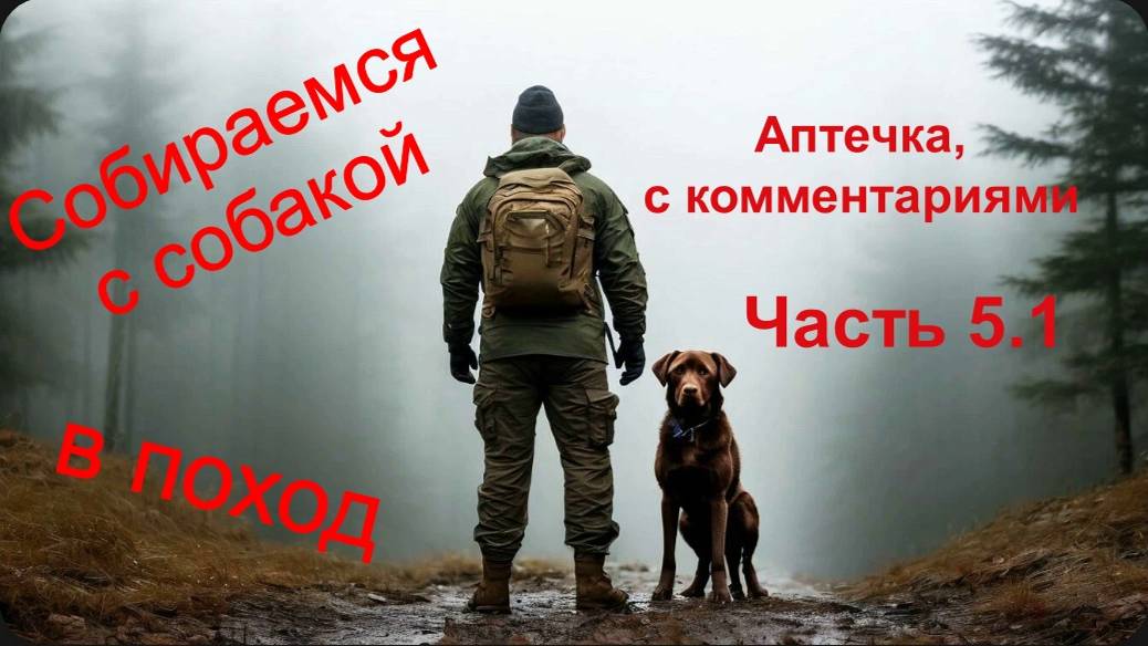 Аптечка. С пояснялками