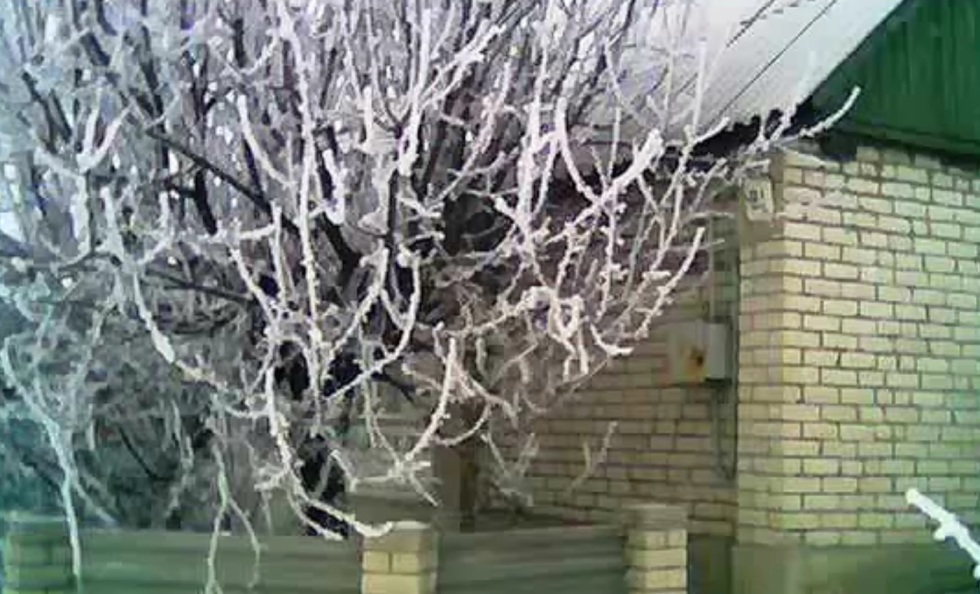 замена венцов деревянного дома .mp4