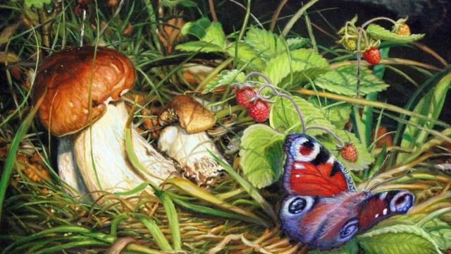 Полезные грибы. Природные лекарства.