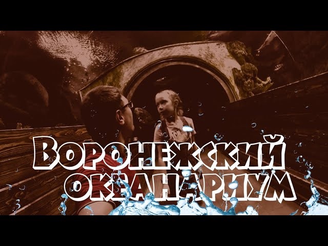 Воронежский океанариум. Небольшой видео обзор.