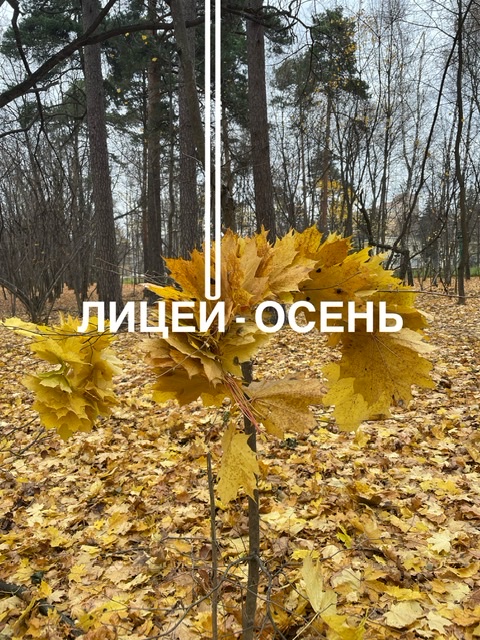 Лицей - Осень. Кавер на барабанах