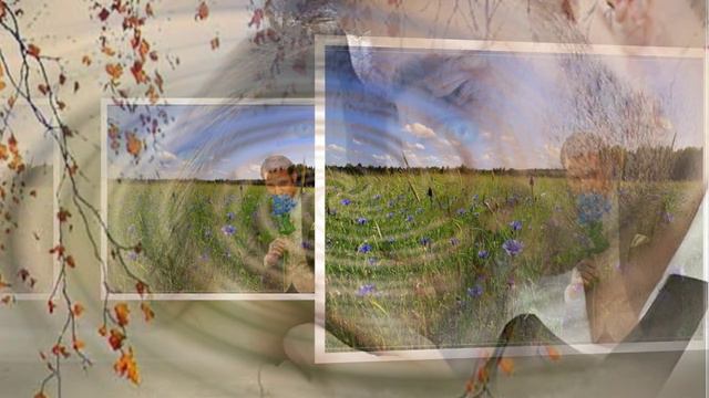 Где-то в поле с васильками