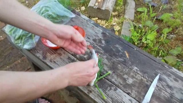 Запеченный окунь на углях