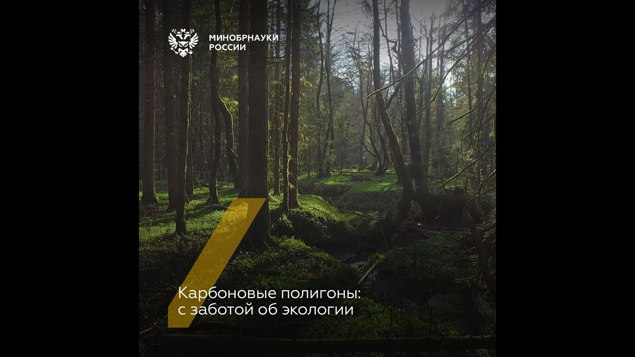 Карбоновые полигоны: с заботой об экологии