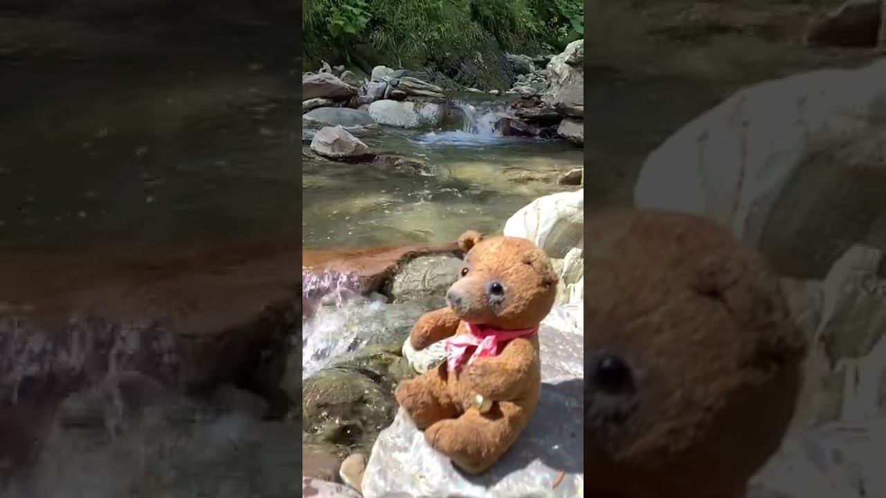 Безумно и свободно …