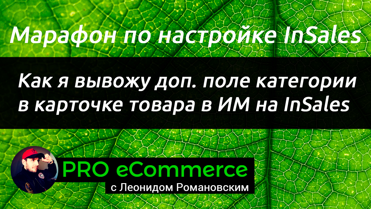 Как я вывожу дополнительное поле категории в карточке товара в ИМ на InSales