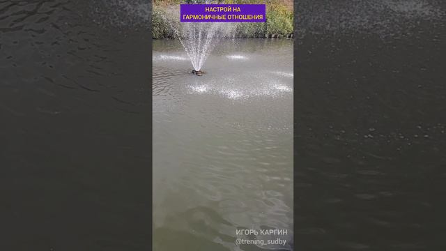 Настрой на гармоничные отношения