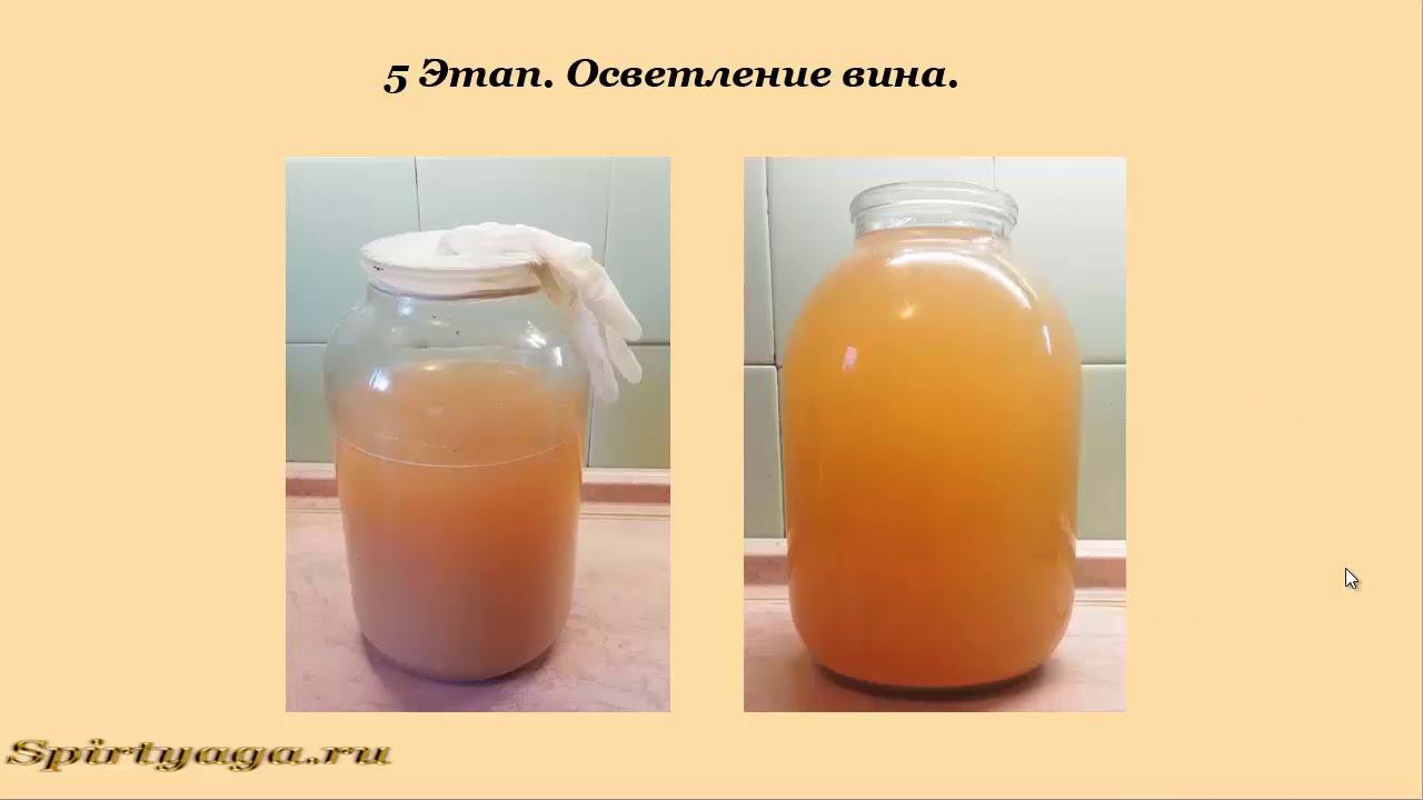 Домашнее вино из яблок. Как сделать вино из яблок в домашних условиях.