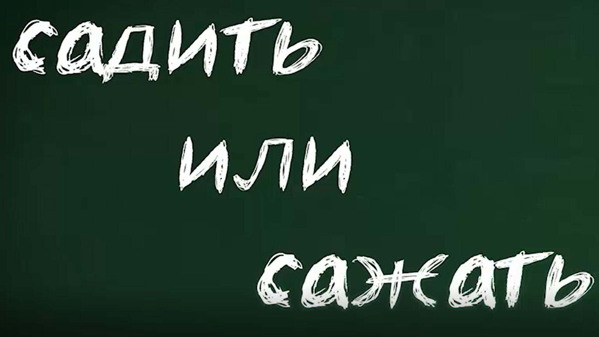 Садить или сажать – вот в чем вопрос