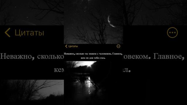 Цитата 9