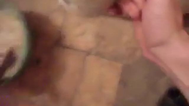 Как выращивать поросят на мясо