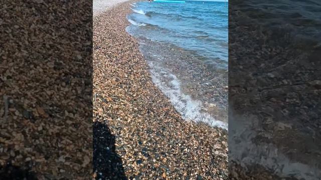 море музыка
