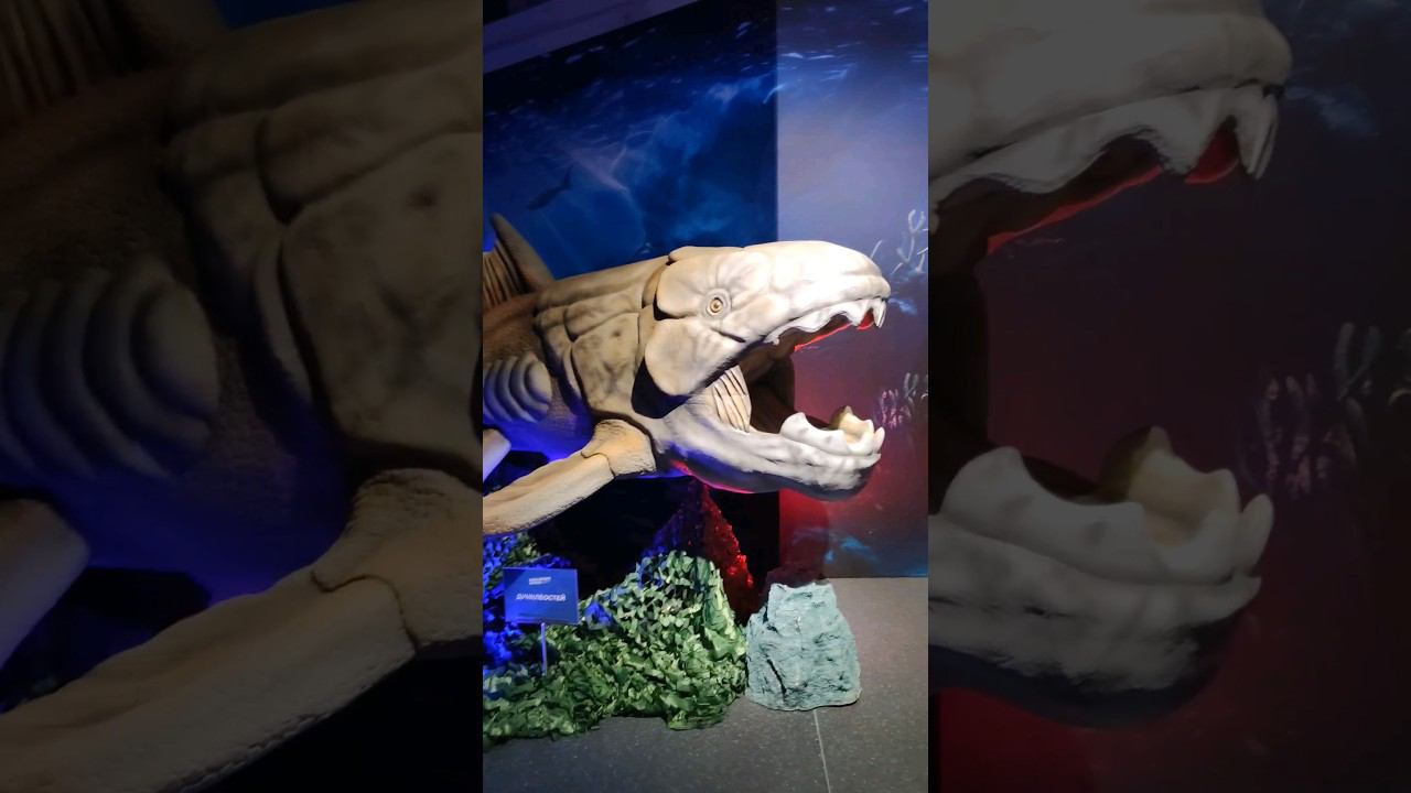 #океан #jurassicworld  #JurassicPeriod