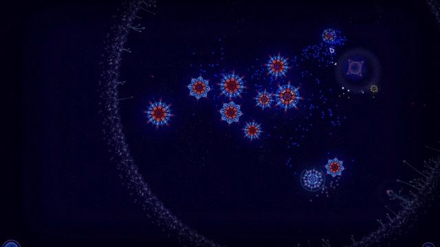 Microcosmum. Mutations 41-49.