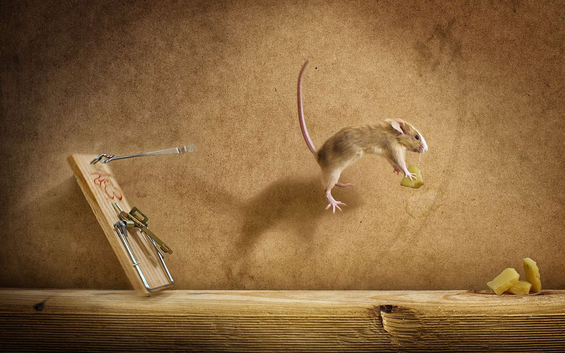 МУЗЫКА NSR2887- Из мышеловки ( кавер Пикник )