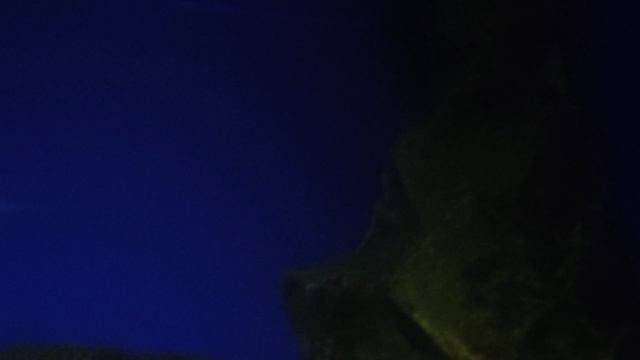 Листвянка.Байкальский Музей.Омуль.