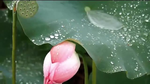 Волшебная мантра избавляющая от все жизненных препятствий