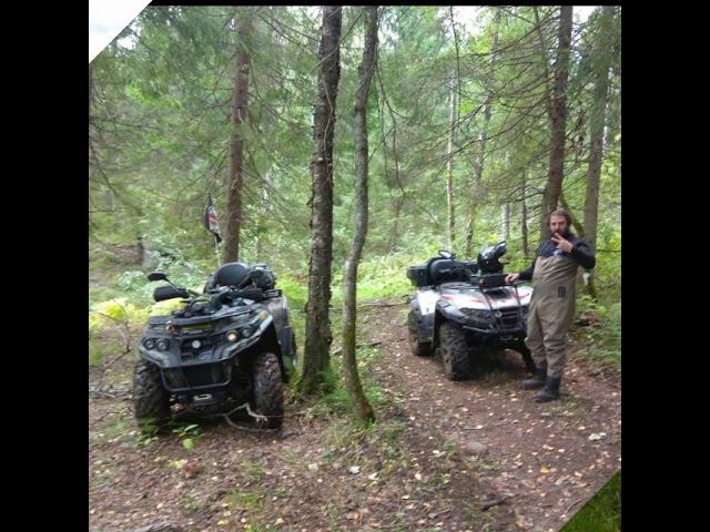 Квадропоход в Вепсский лес август 2018