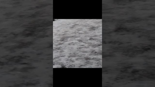 ВАМ ПОВЕСТКА -2 сезон 4-серия