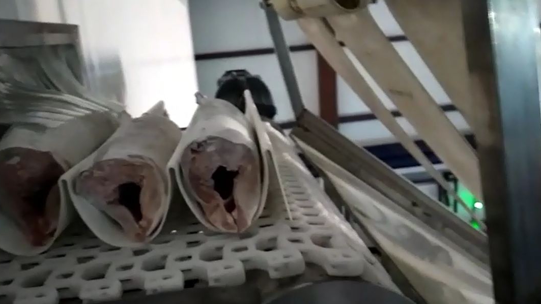 Спиральный фризер для рыбы