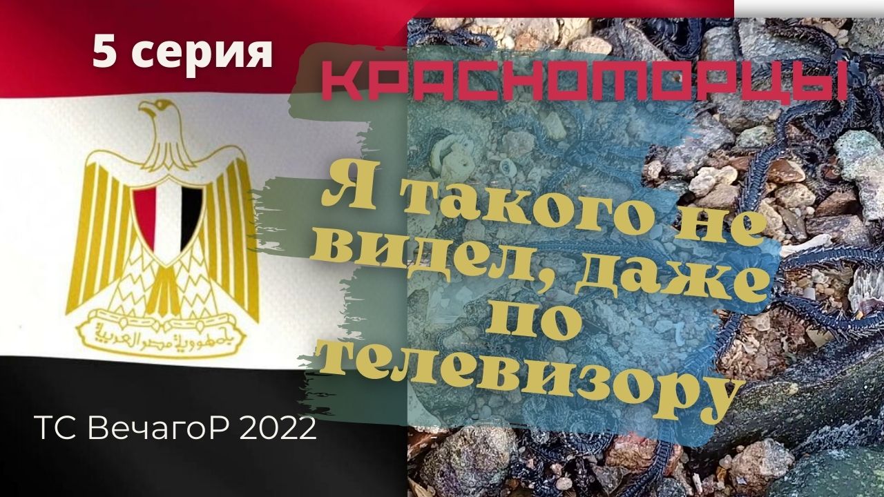 Хитоны, балянусы и прочие представители... & Royal Star Beach Resort 4*.