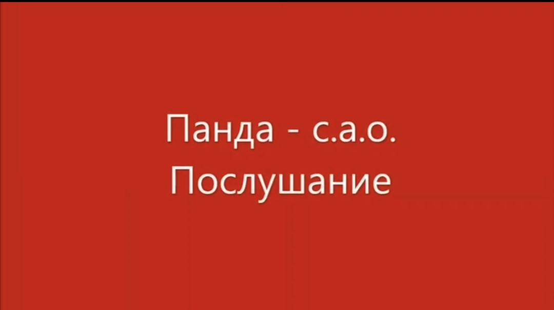 Панда - среднеазиатская овчарка
Тренировка перед испытаниями по ОКД