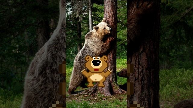 Мишкин стендап.Часть 5