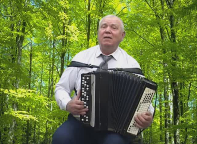 Ф.Свиридович. КРАСАВИЦА