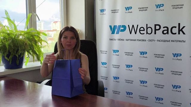 Крафт пакет с кручеными ручками, 240*140*280 (Ш*Г*В) мм (синий)