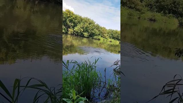 "Минуточку!"