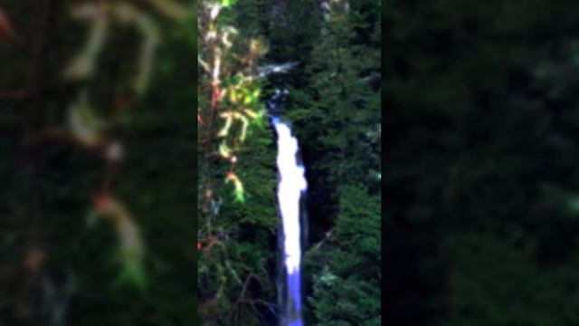Горный водопад. Абхазия #shorts