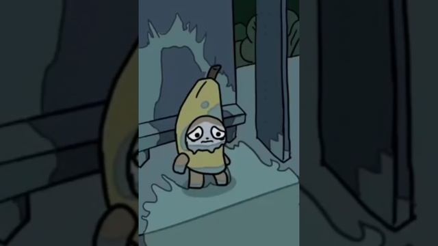Banana cat обрызгала машина