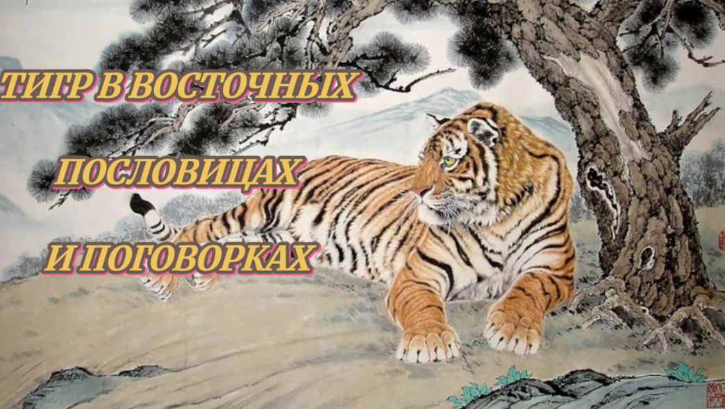 ДВУМ ТИГРАМ ТЕСНО НА ОДНОЙ ГОРЕ