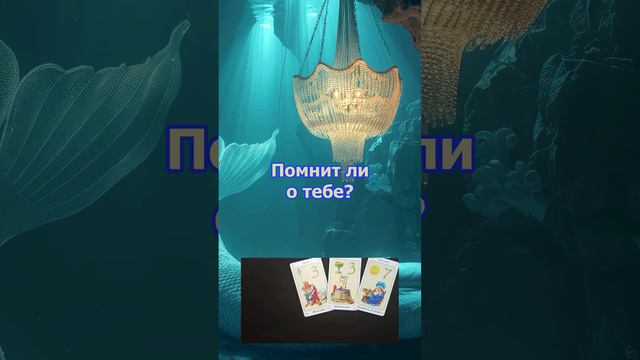 Помнит ли о тебе? отправь сообщение для заказа консультации #бывший #чувства #гадания #расклад