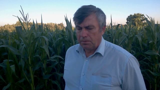 020. «FORUM –CENTER»  Отзыв фермера о присадках «ФОРУМ®».  08.58 мин.