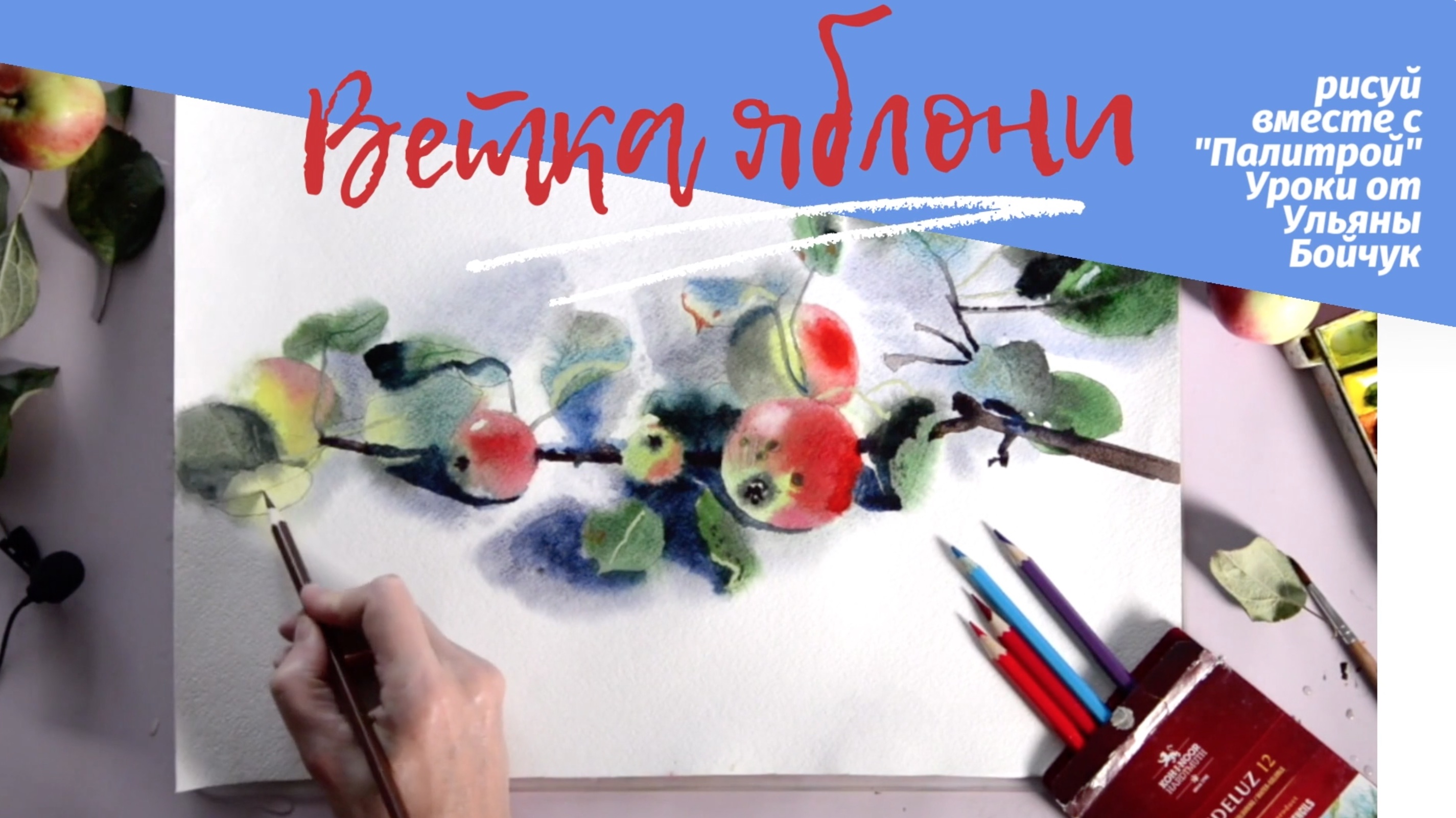 Видеоурок акварельная живопись алла прима и акварельные карандаши "Ветка яблони".