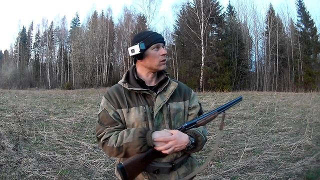 Охота на вальдшнепа весна 2023 часть 4