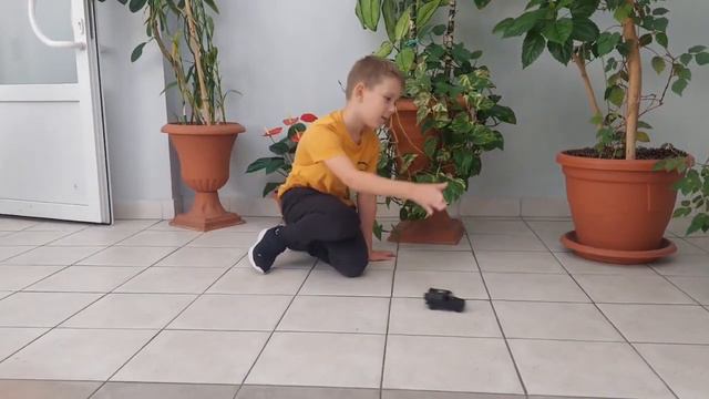 Географический эффект Кулешова