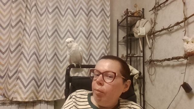 Танцор не диско