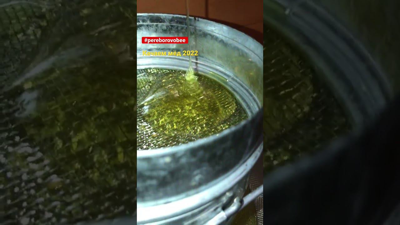 Качаем #мёд #pereborovobee #beekeeping #bees #пасека #honey #пчеловодство #улей #bee