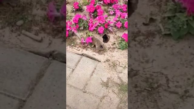 Букетик для подруги.