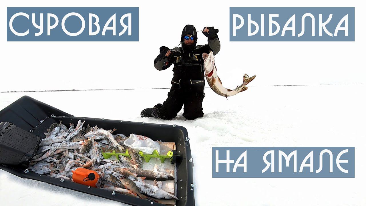 Зимняя рыбалка в буран. DF 66