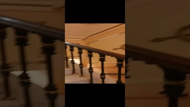 Типичный Питер , метро Звенигородская