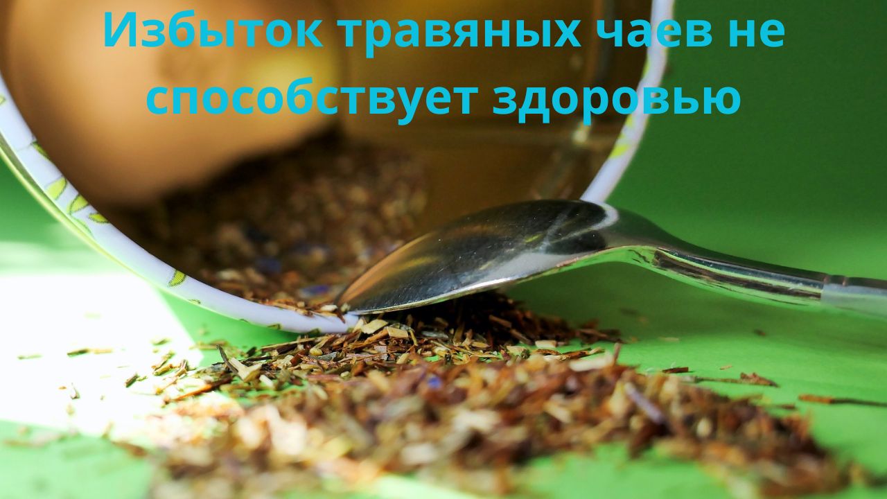 Избыток травяных чаев не способствует здоровью.