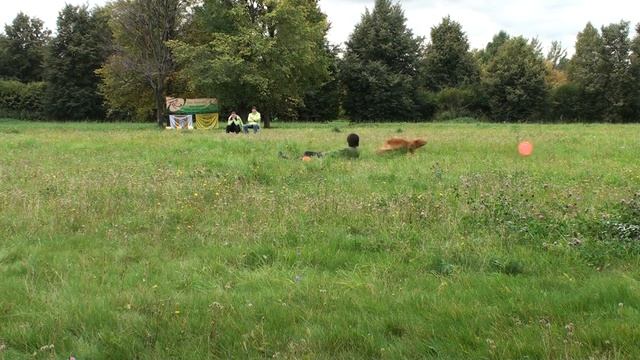 Чемпионат России. Алия и Ирвин..mp4