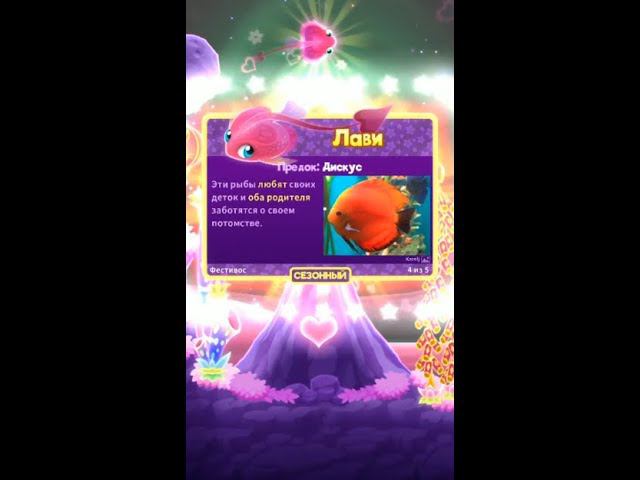 Super Starfish - Моя первая особенная рыбка!