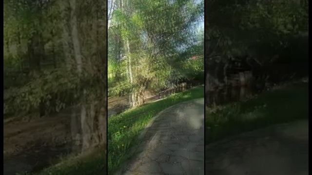 Бутовский парк (2)